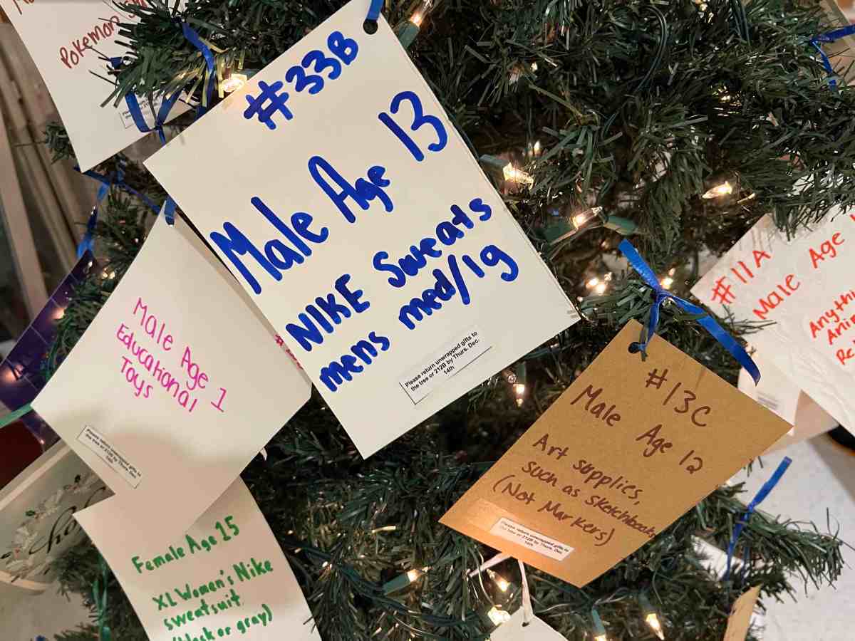 5 QUESTIONS WITH…Senior Treasurer Maya Markowitz About The National ...